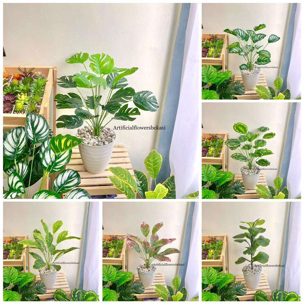 Jual TANAMAN ARTIFICIAL POT PIRUS tanaman hias plastik tanaman murah ...