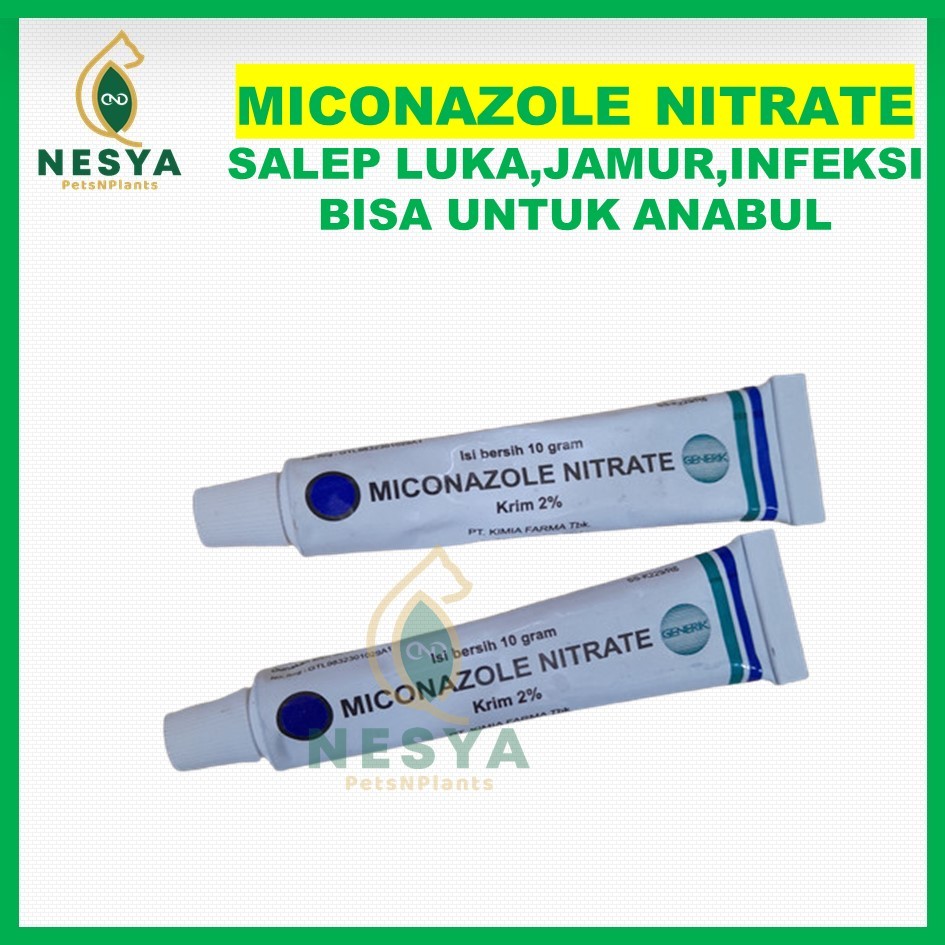 Jual Obat Salep Miconazole Nitrate 10g Jamur Luka Infeksi Kucing Anjing ...