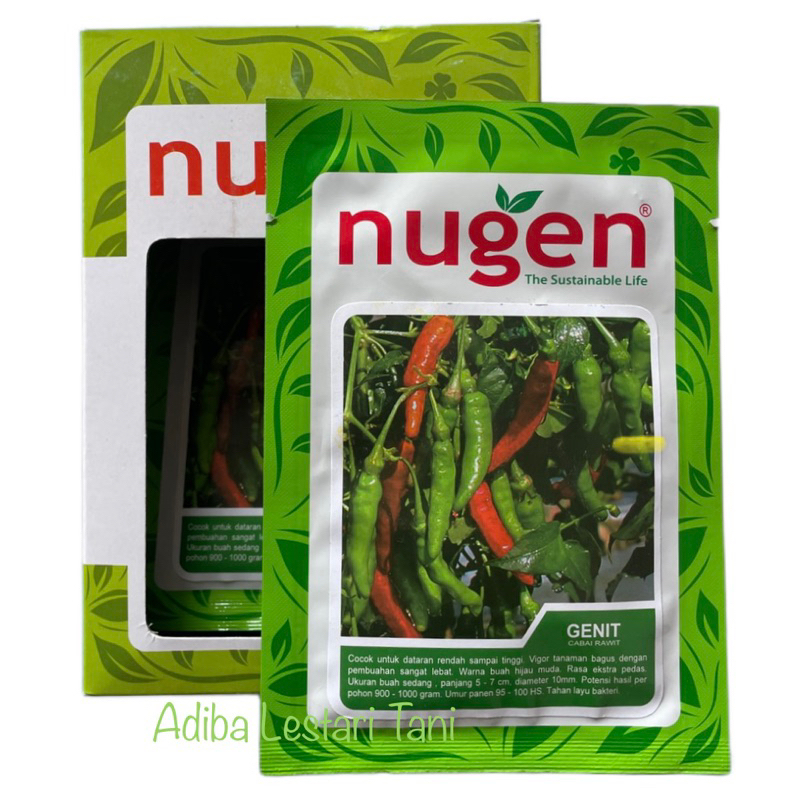 Jual Benih Cabe Rawit Genit 10gram - Bibit Cabai Rawit Hijau Merunduk ...