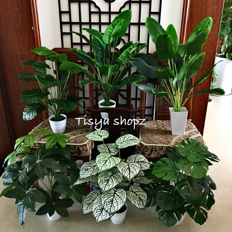 Jual Monstera Besar / Keladi Artificial ( POT DIJUAL TERPISAH ...