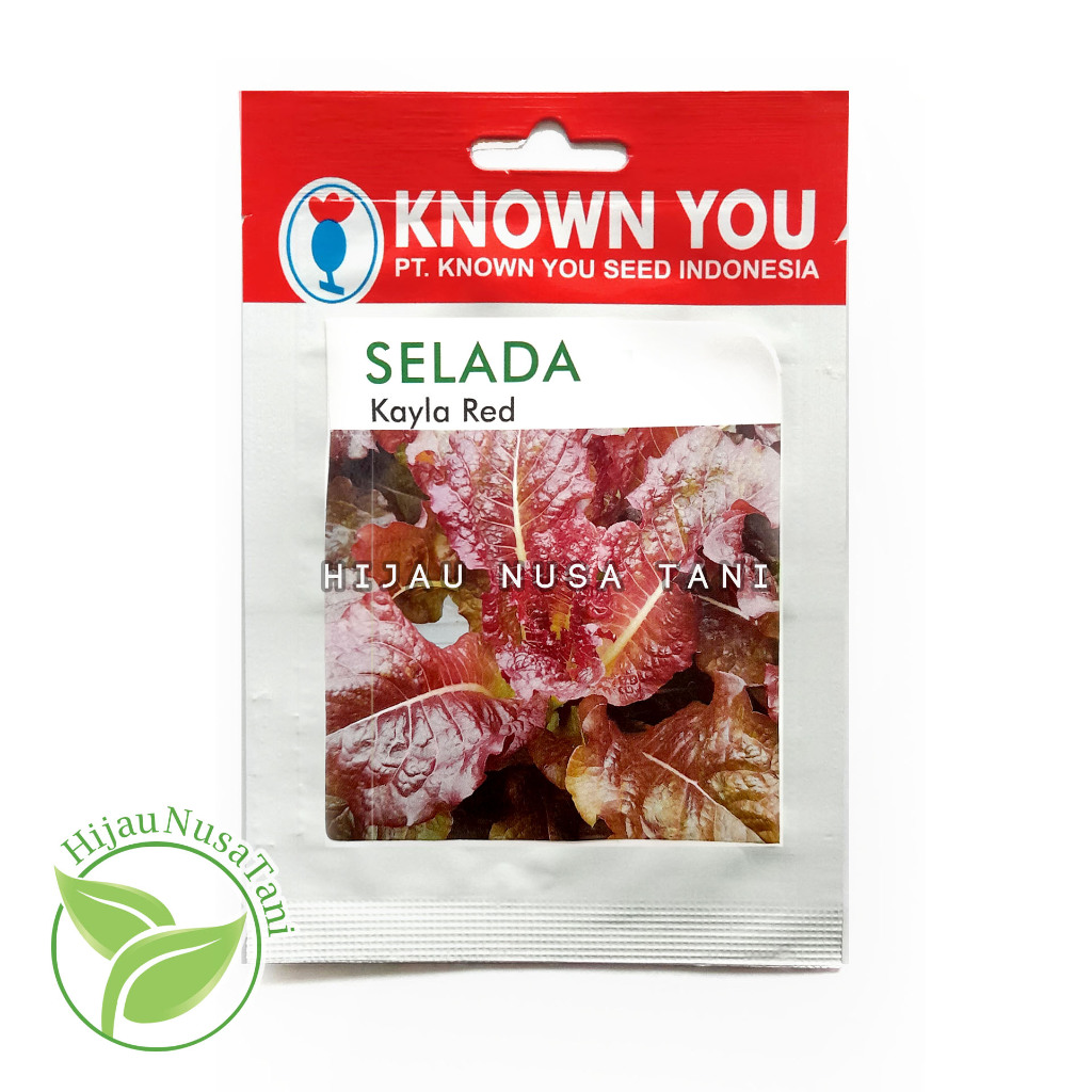 Jual Benih Selada Merah KAYLA RED 5 gram Known You Seed Kemasan Pabrik Small Pack - benih bibit ...