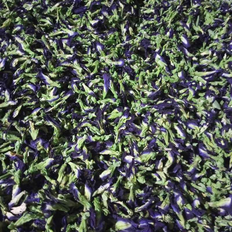 Jual Bunga Telang Kering 1 Kg Kilogram/1000 gram Kiloan Butterfly Pea ...