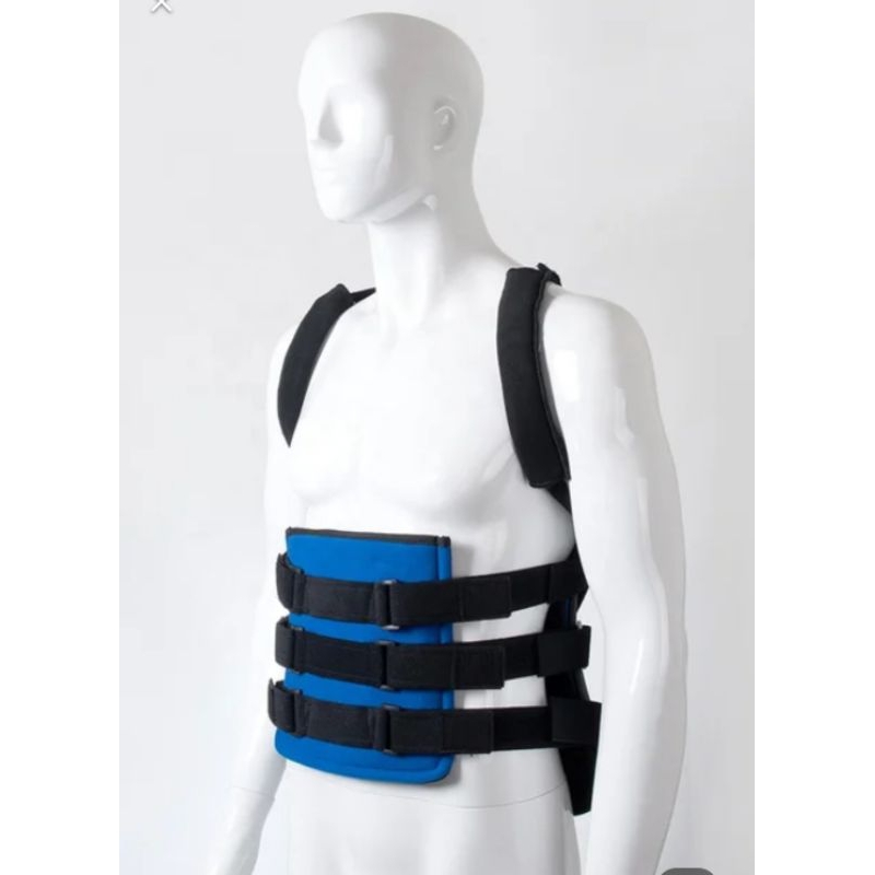 Jual knight Taylor brace, Taylor brace, TLSO, sabuk penyangga tulang ...