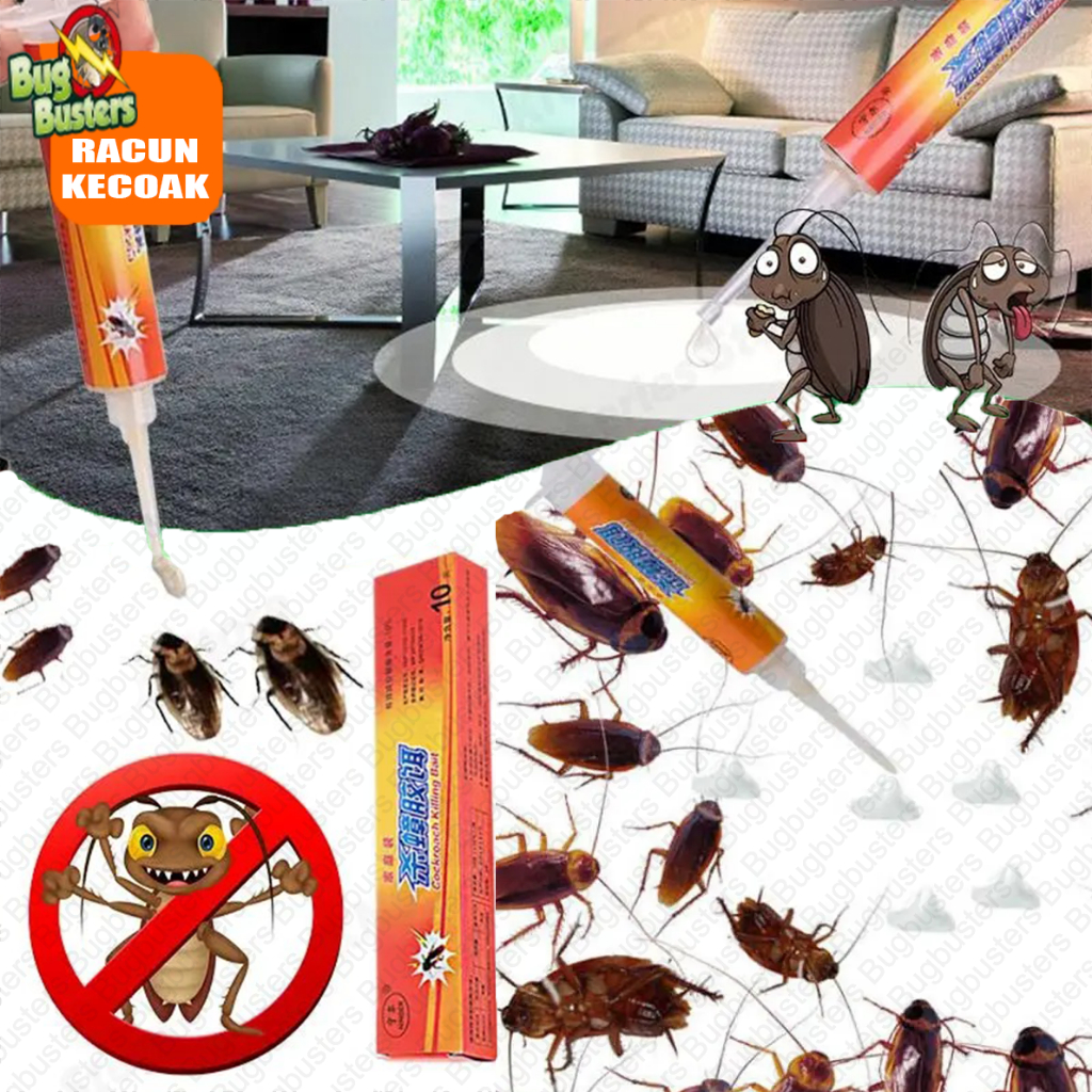 Jual NINGER Gel Racun Pembasmi Kecoa Roach Bait Insecticide Control - JYZ12 - White 10g ...