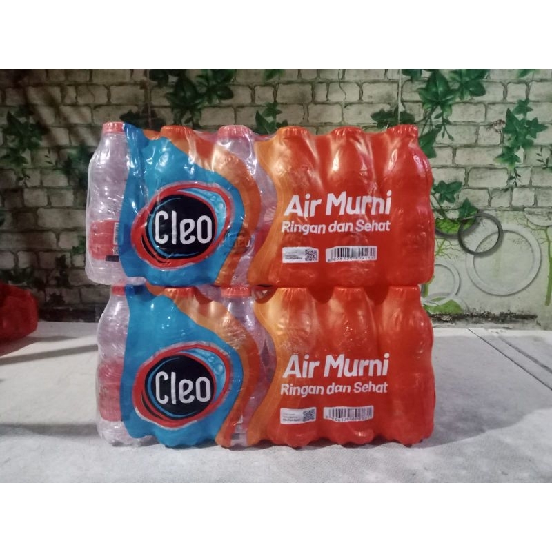 Jual Air Minum Cleo 220ml isi 24pcs | Shopee Indonesia