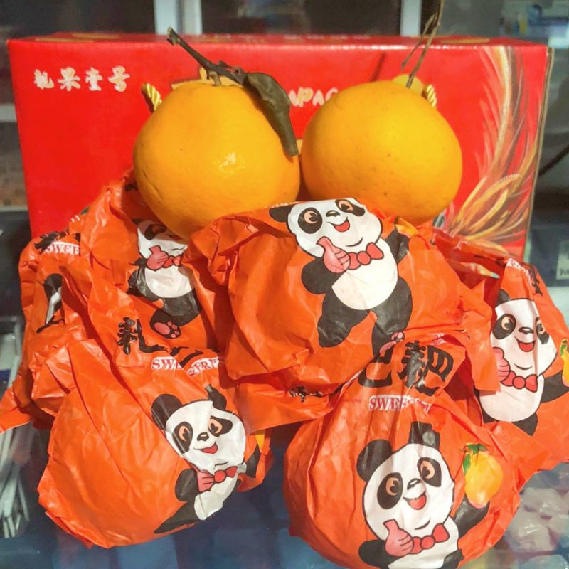 Jual Jeruk Papagan Panda Edisi Imlek 4,2 Kg/Dus | Shopee Indonesia