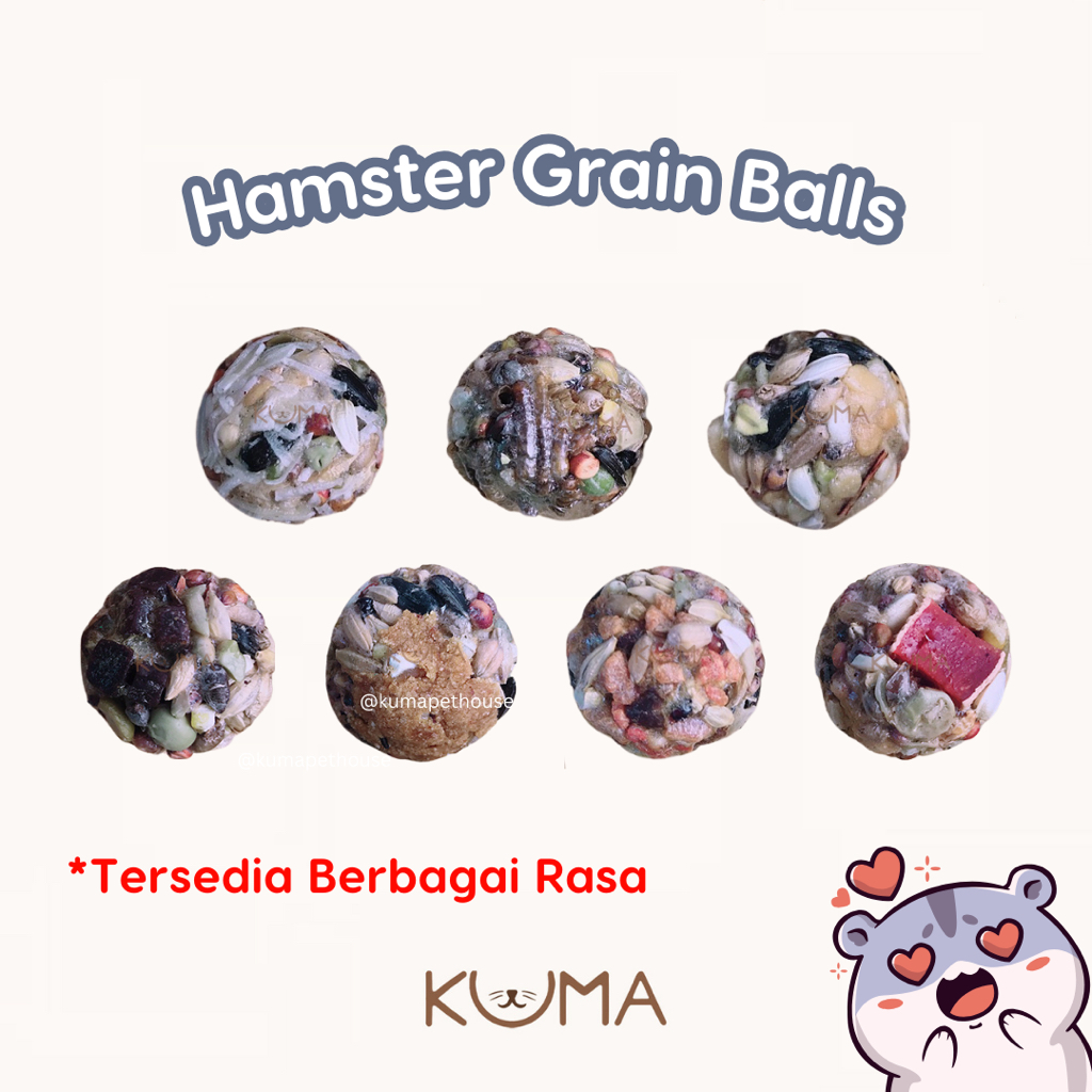 Jual [KUMA] Hamster Grain Balls | Snack Hamster Makanan Hamster Biji ...