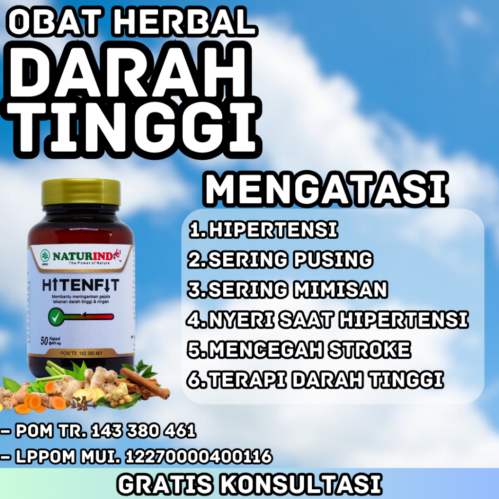 Jual HITENFIT Obat Hipertensi Darah Tinggi Ampuh Dan Kolesterol Herbal ...