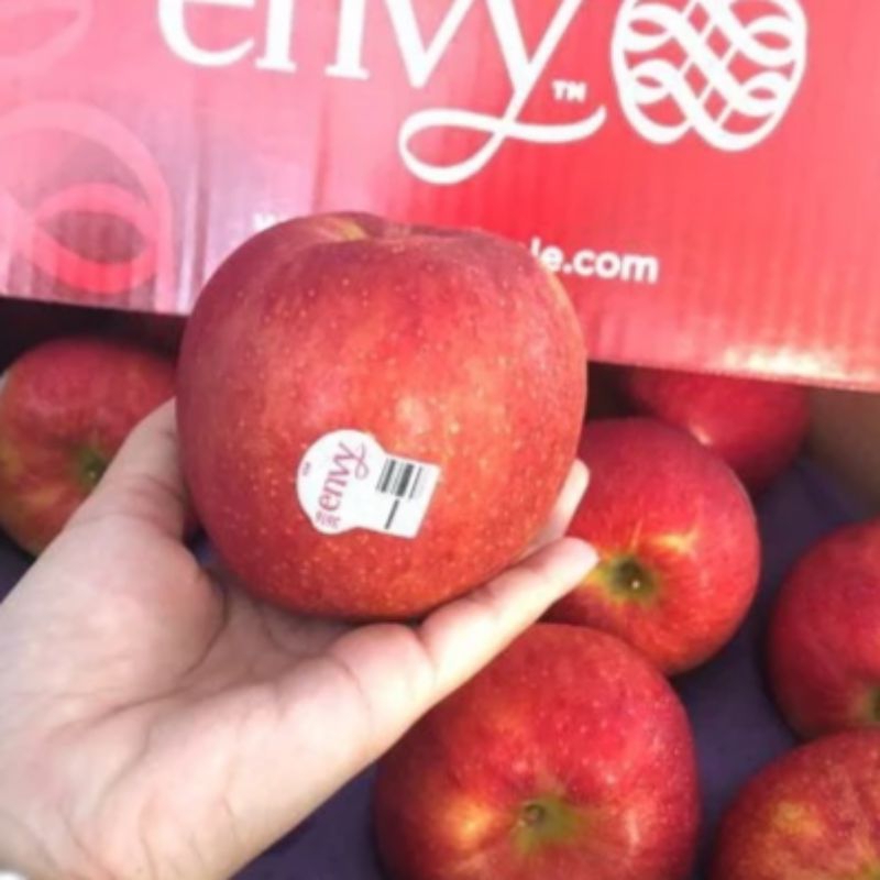 Jual Apel Envy HG Size 28 / kg | Shopee Indonesia