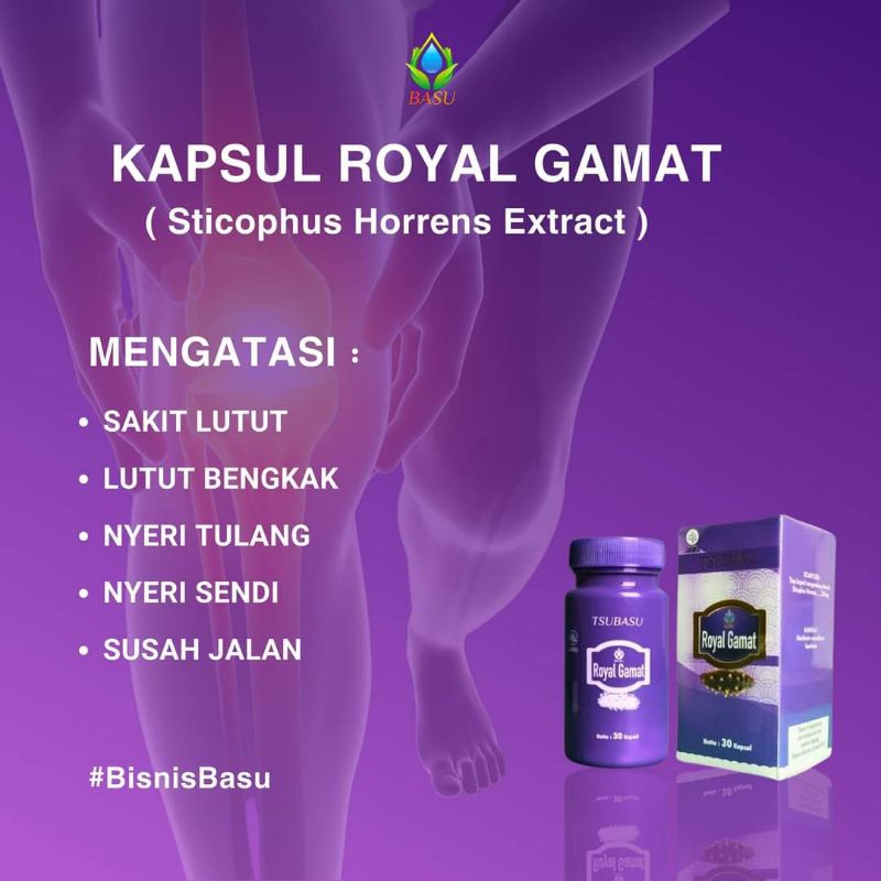 Jual TSUBASU ROYAL GAMAT, BENODEM | Shopee Indonesia