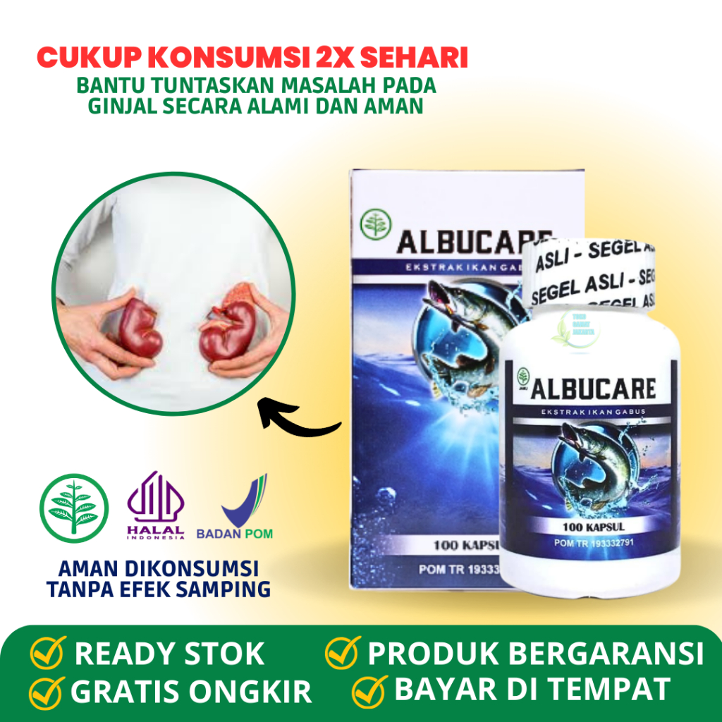 Jual Obat Sindrom Nefrotik Ginjal Bocor Herbal Kerusakan Ginjal ...