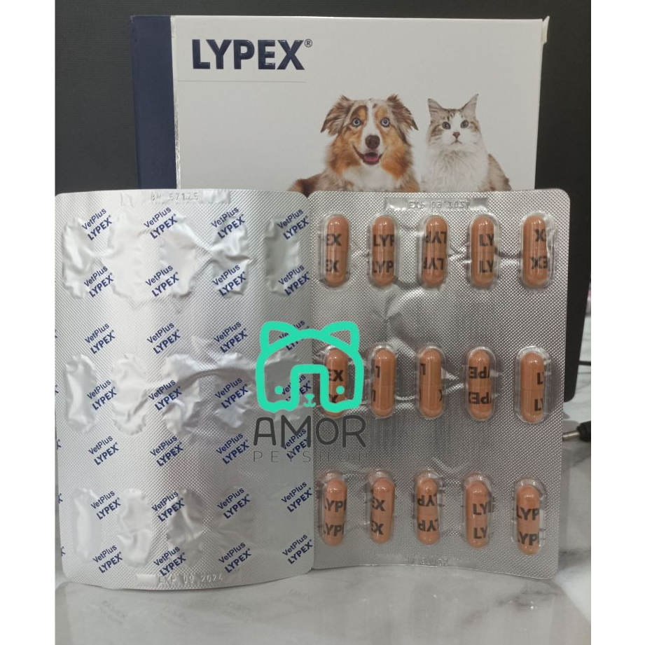 Jual LYPEX VETPLUS ENZIM ANTI DIARE UNTUK KUCING DAN ANJING | Shopee ...
