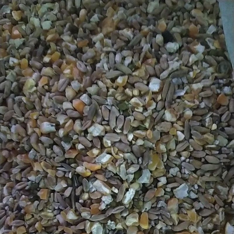 Jual pakan komplit Campuran untuk burung perkutut dara puter merpati ...