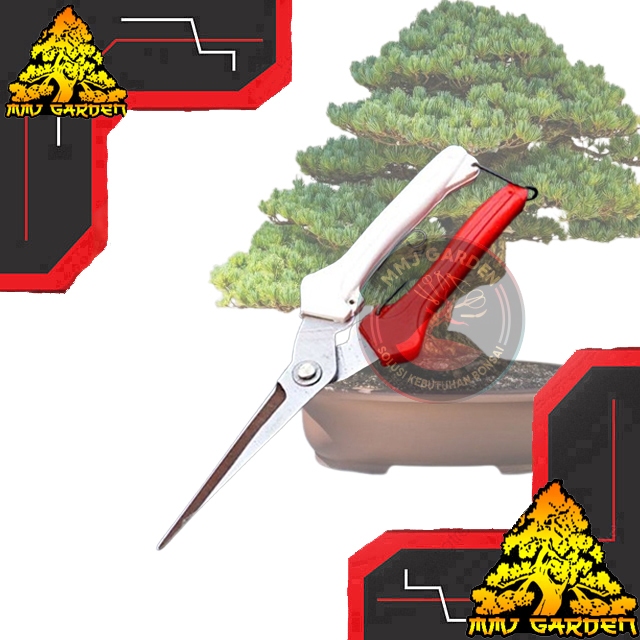 Jual MMJ GARDEN-Alat bonsai,Gunting lurus merah putih premium | Shopee ...