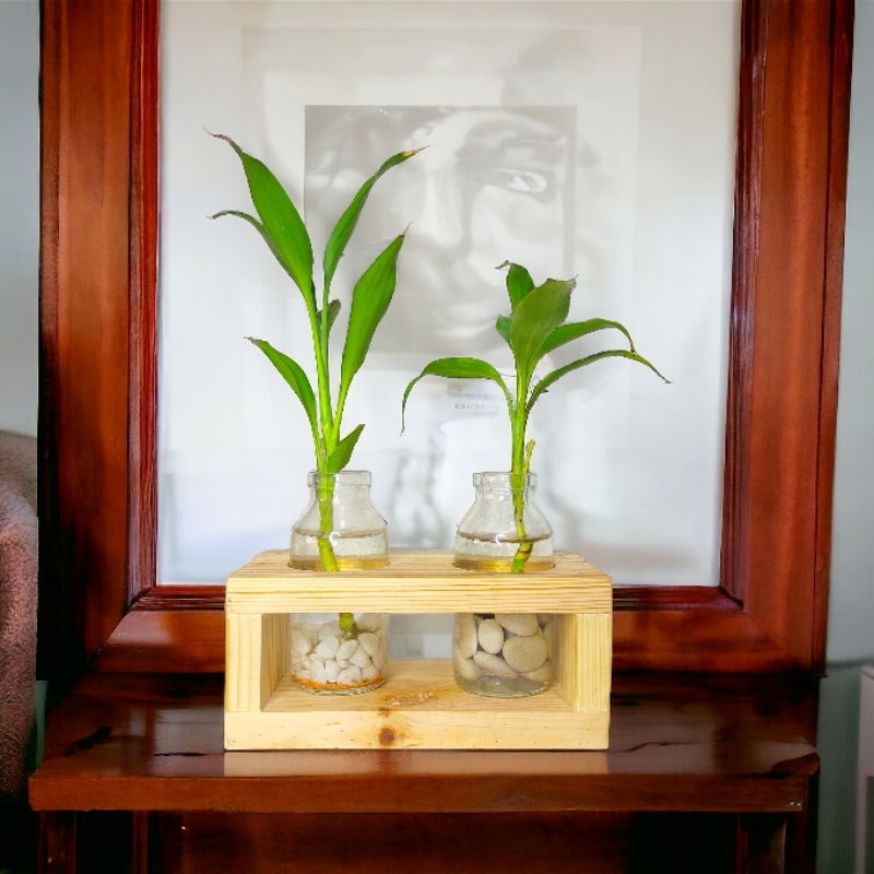 Jual Vas Pot Kaca Cover kayu Hidroponik Aesthetic Minimalis | Shopee ...