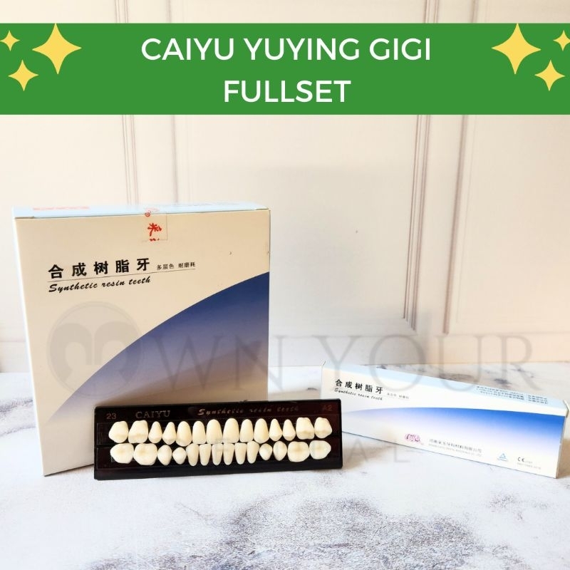 Jual Gigi Caiyu Yuying Fullset Upper Lower Anterior Posterior Geraham ...