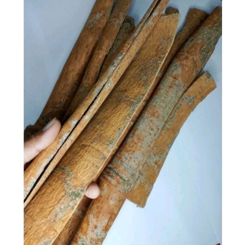 Jual Kulit Kayu Sintok Super Bersih 1kg | Shopee Indonesia
