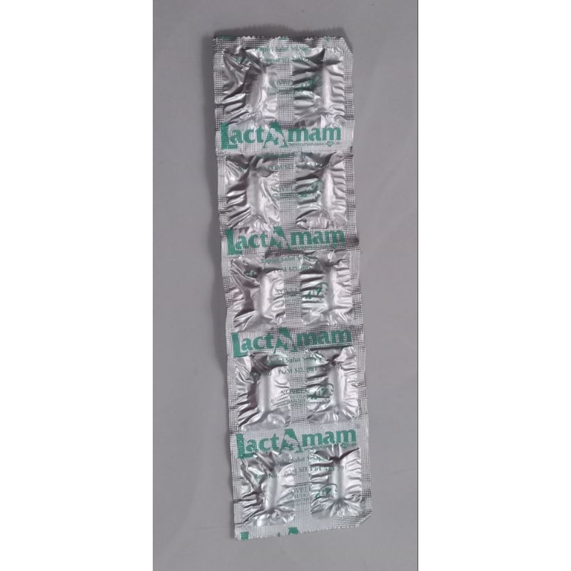 Jual Lactamam (booster menyusui) | Shopee Indonesia