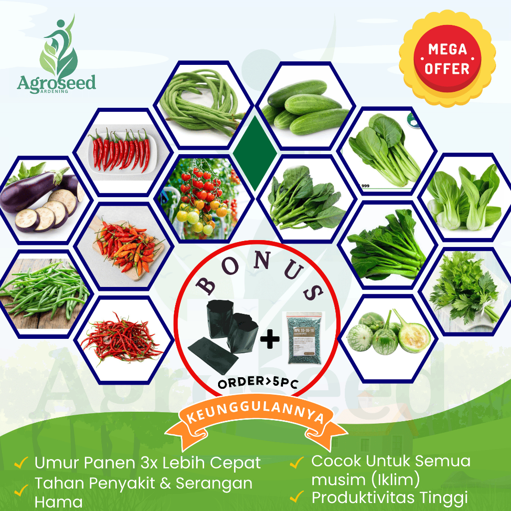 Jual 15 Jenis Paket Benih Sayuran Lengkap Cepat Tumbuh Bibit Tanaman ...