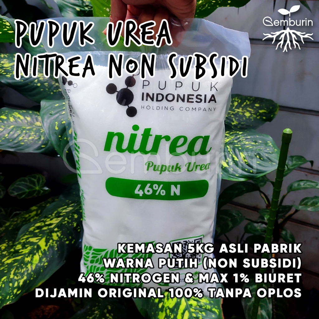 Jual Pupuk Urea Nitrea 5 kg Kemasan ASLI PABRIK Non Subsidi / Nitrogen ...