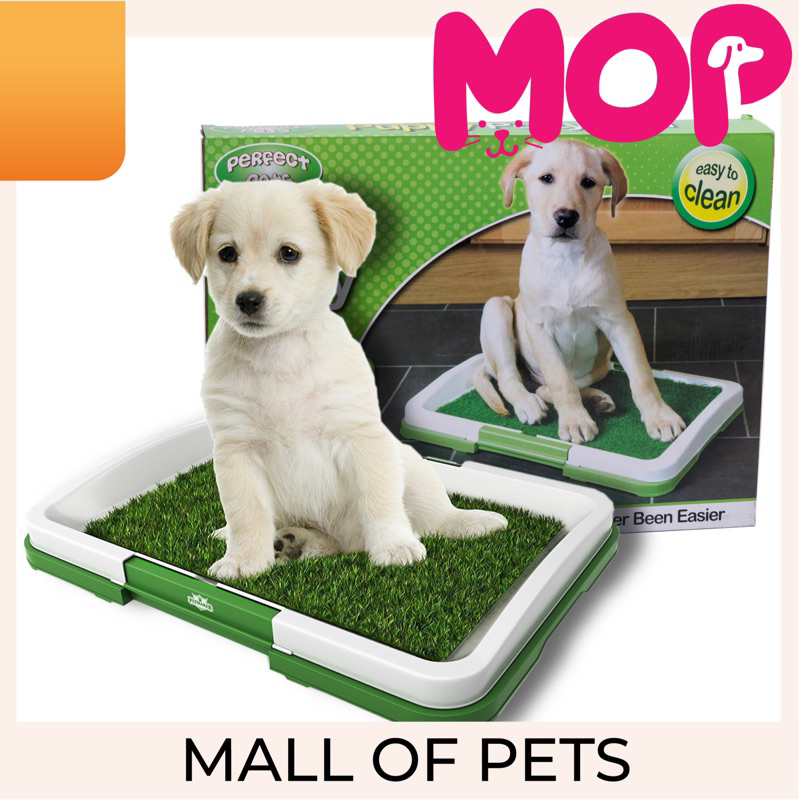 Jual Toilet Training Anjing / Alas Pipis Rumput / Dog Puppy Potty Train ...