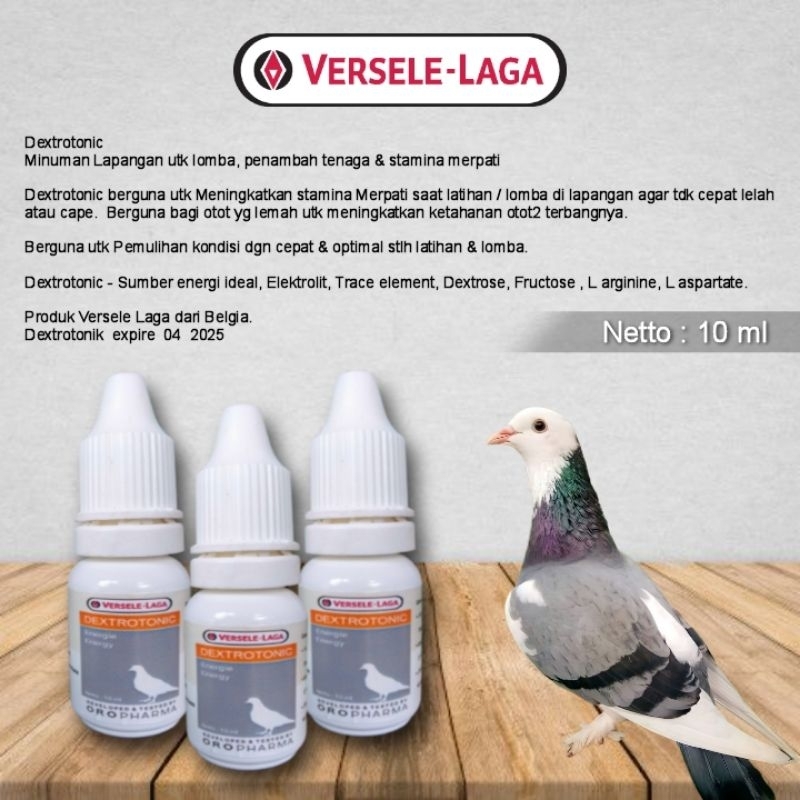 Jual Dextrotonic verselelaga 10ml vitamin merpati kolong dan balap | Shopee Indonesia