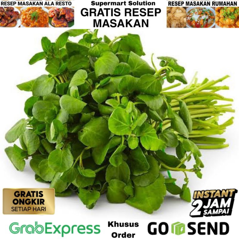 Jual Selada air / Salada Air / Watercress | Shopee Indonesia