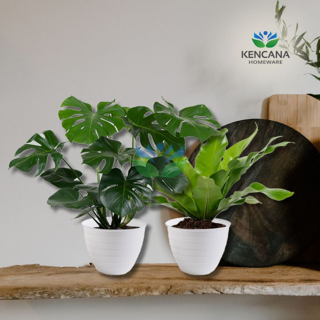 Jual Pot Bunga Dekor Tanaman Plastik Tebal Kuat Anti Pecah Fresh ...
