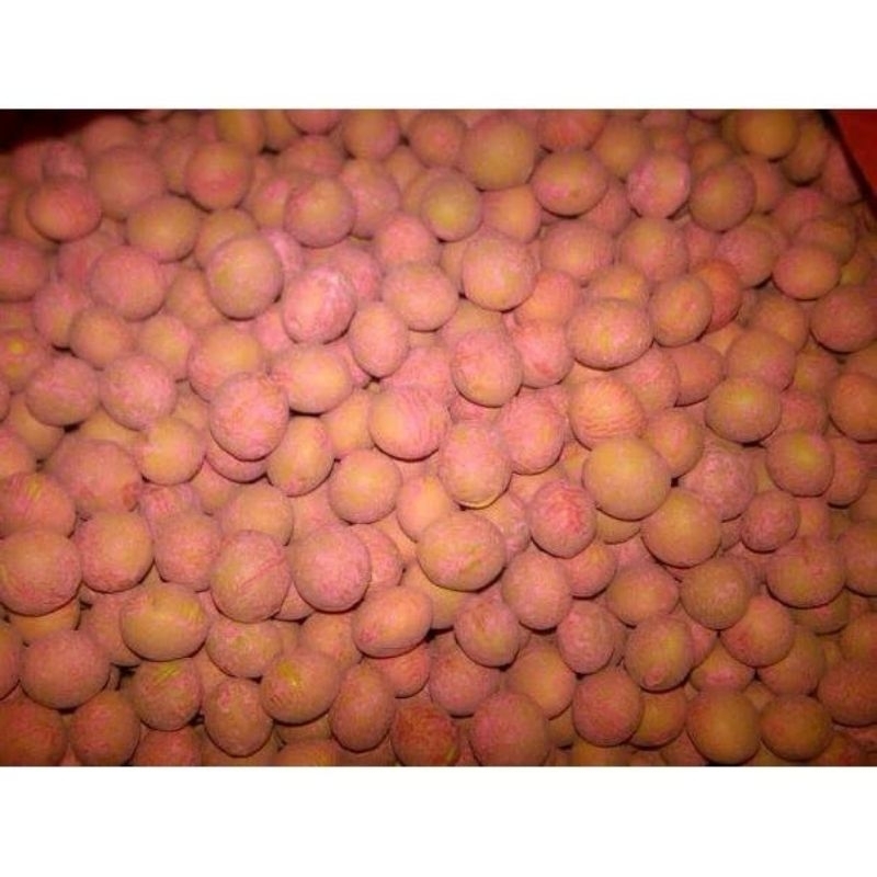 Jual 500gram benih kedelai edamame 1250 butir | Shopee Indonesia
