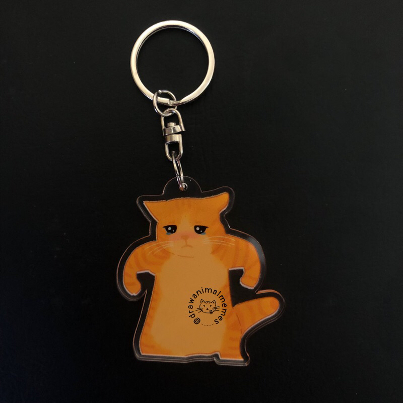 Jual GANTUNGAN KUNCI MEME KUCING AKRILIK ILUSTRASI KARTUN GANCI ...