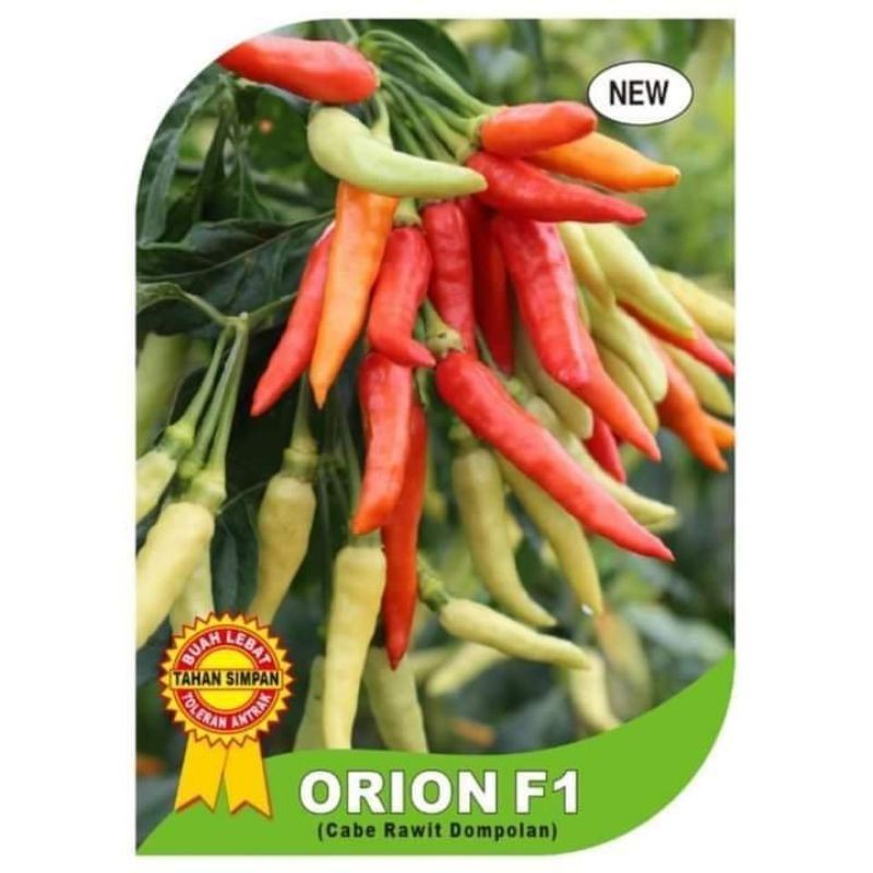 Jual 20 Benih Cabe Rawit Unggul Dompolan Cabai Hibrida ORION F1 ...
