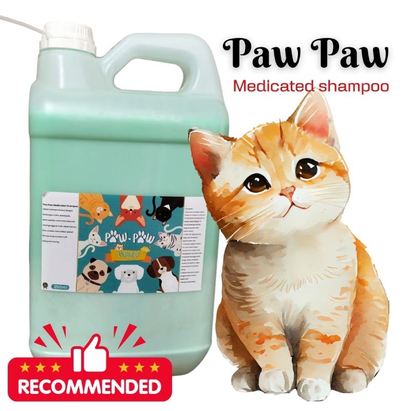 Jual PAW PAW MEDICATED SHAMPOO | Shopee Indonesia