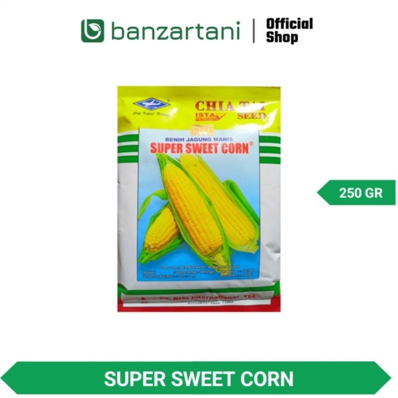 Jual Banzartani - Benih Jagung Manis Super Sweet Corn 250 gram - Cap Kapal Terbang | Shopee ...