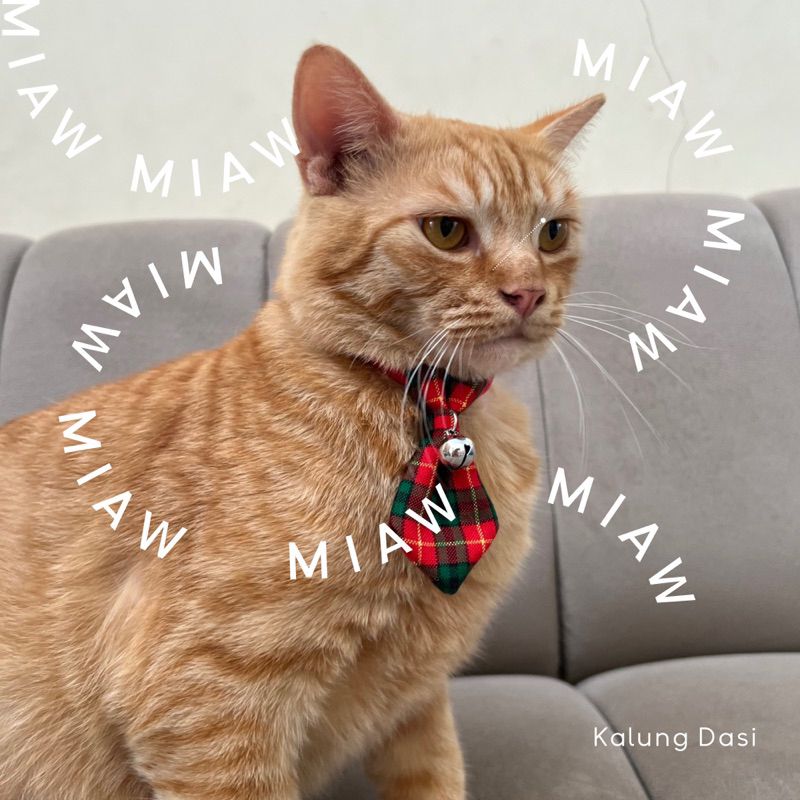 Jual Kalung Kucing Anjing Dasi Lonceng by Miaw Miaw | Shopee Indonesia