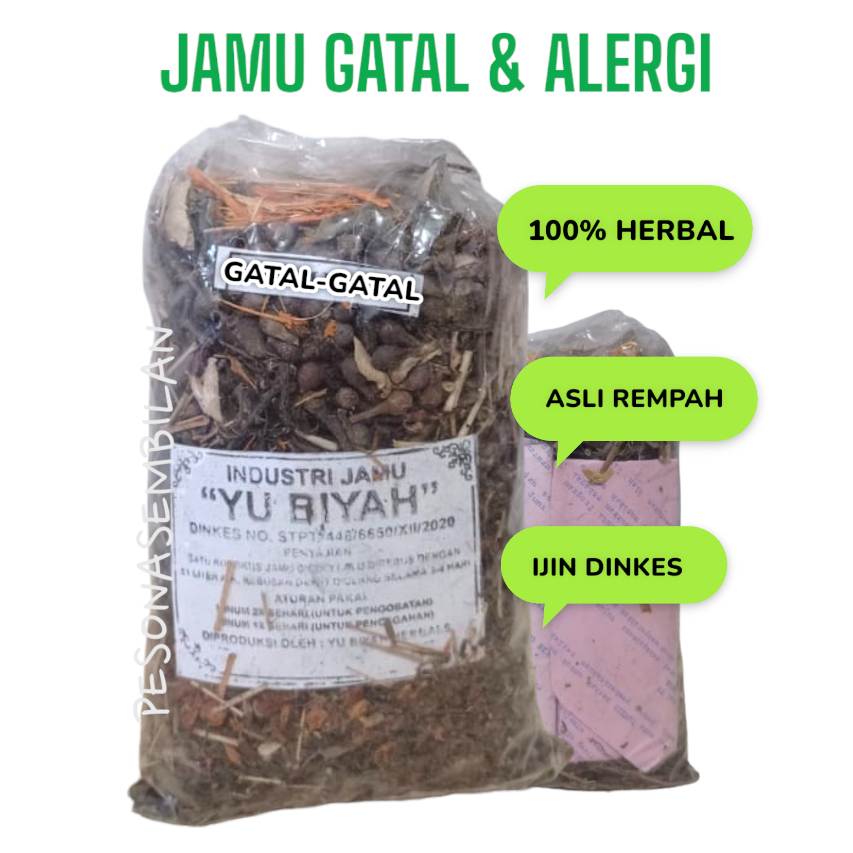 Jual Jamu Godok Gatal-Gatal, Alergi Gatal Kulit, Bersih Darah Kotor ...