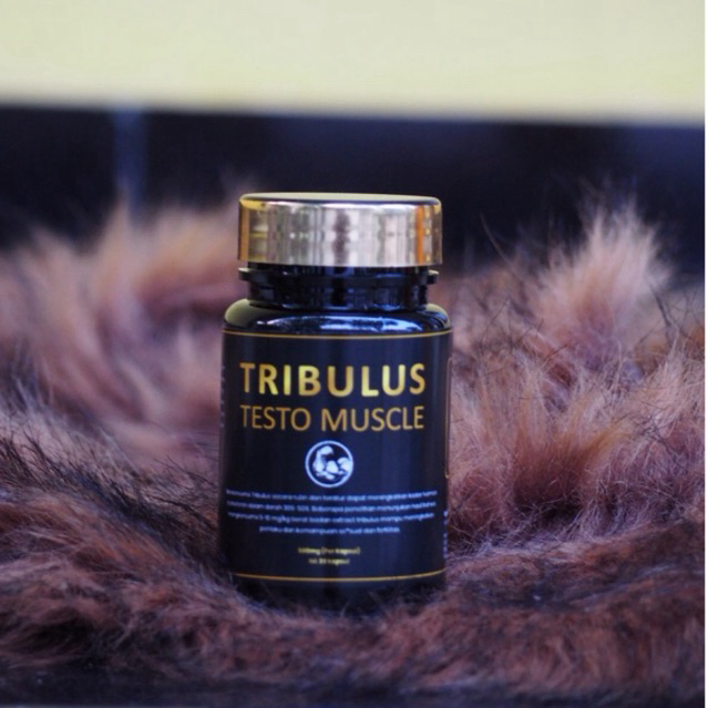 Jual Tribulus testo muscle | Shopee Indonesia