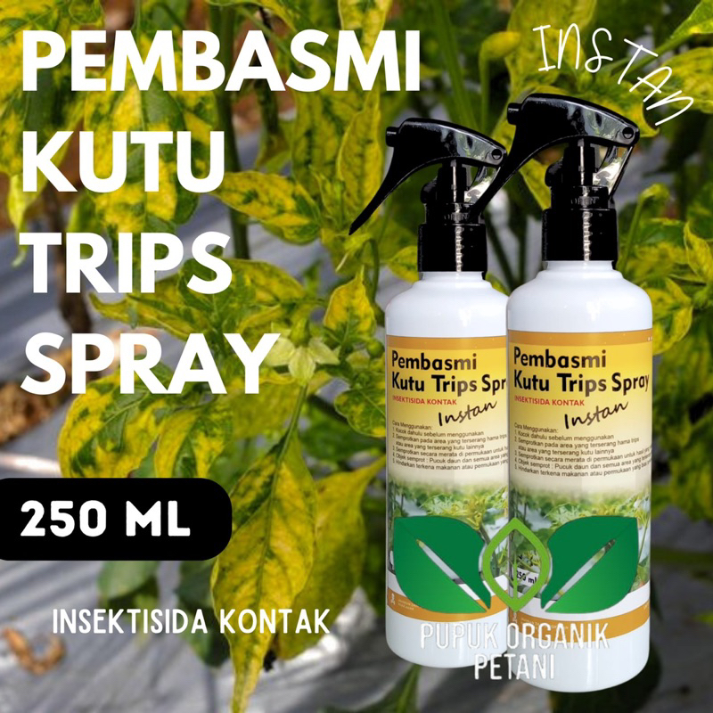 Jual Obat Anti Hama Trips Spray Atasi Hama dan Serangga Tanaman Cabai ...