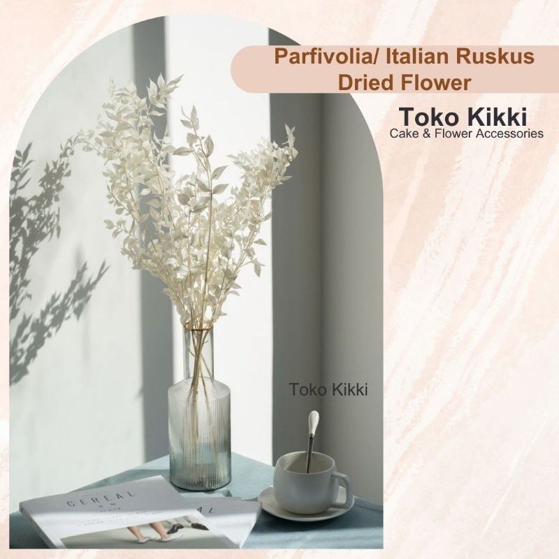 Jual Parfivolia White / Italian ruskus Dried Flower / Bunga kering ...
