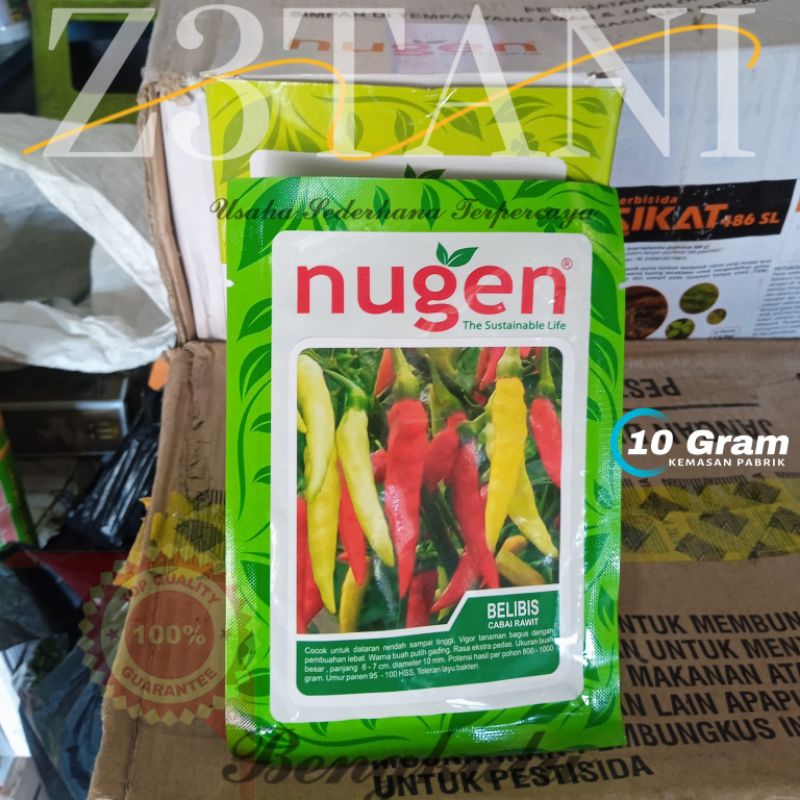 Jual Benih BELIBIS 10 Gram Bibit Cabai Rawit NUGEN | Shopee Indonesia