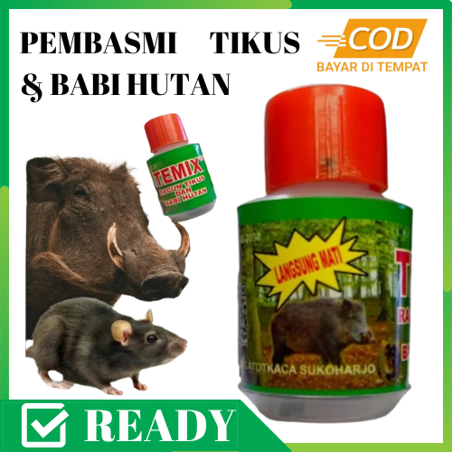 Jual RACUN TIKUS & BABI HUTAN TEMIX PEMBASMI HAMA PALING AMPUH/OBAT ...