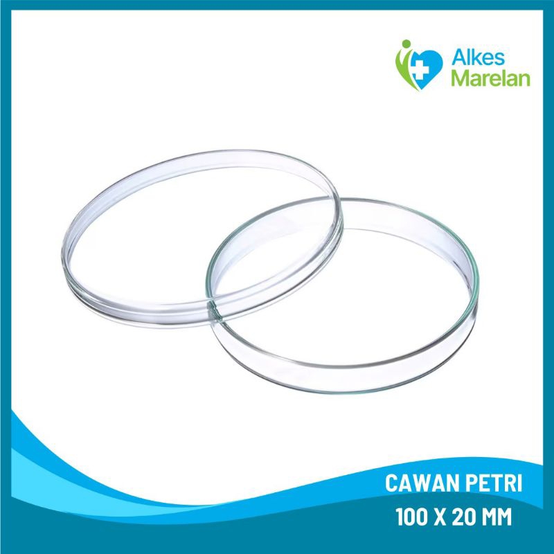 Jual Cawan Petri / Cawan Kaca / Petri Kaca | Shopee Indonesia