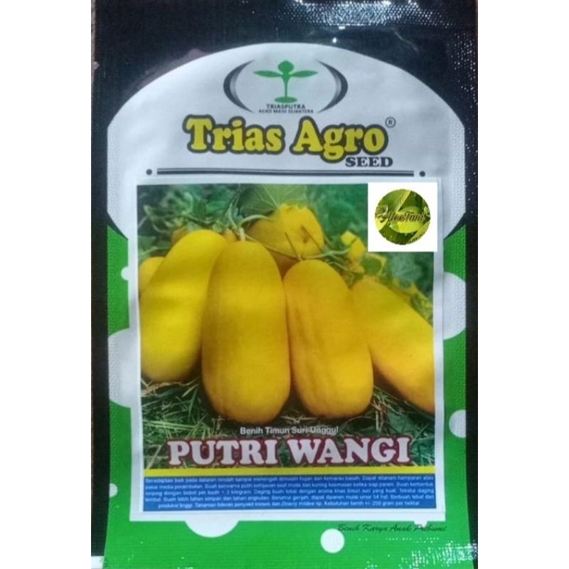 Jual Benih Timun Suri Kuning Putri Wangi Trias Agro Shopee Indonesia