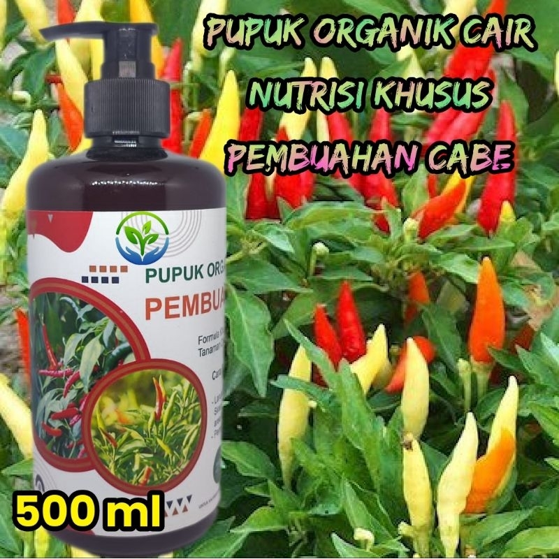 Jual Pupuk Cabe Organik Cair Nutrisi Khusus Pembuahan Tanaman Cabe ...