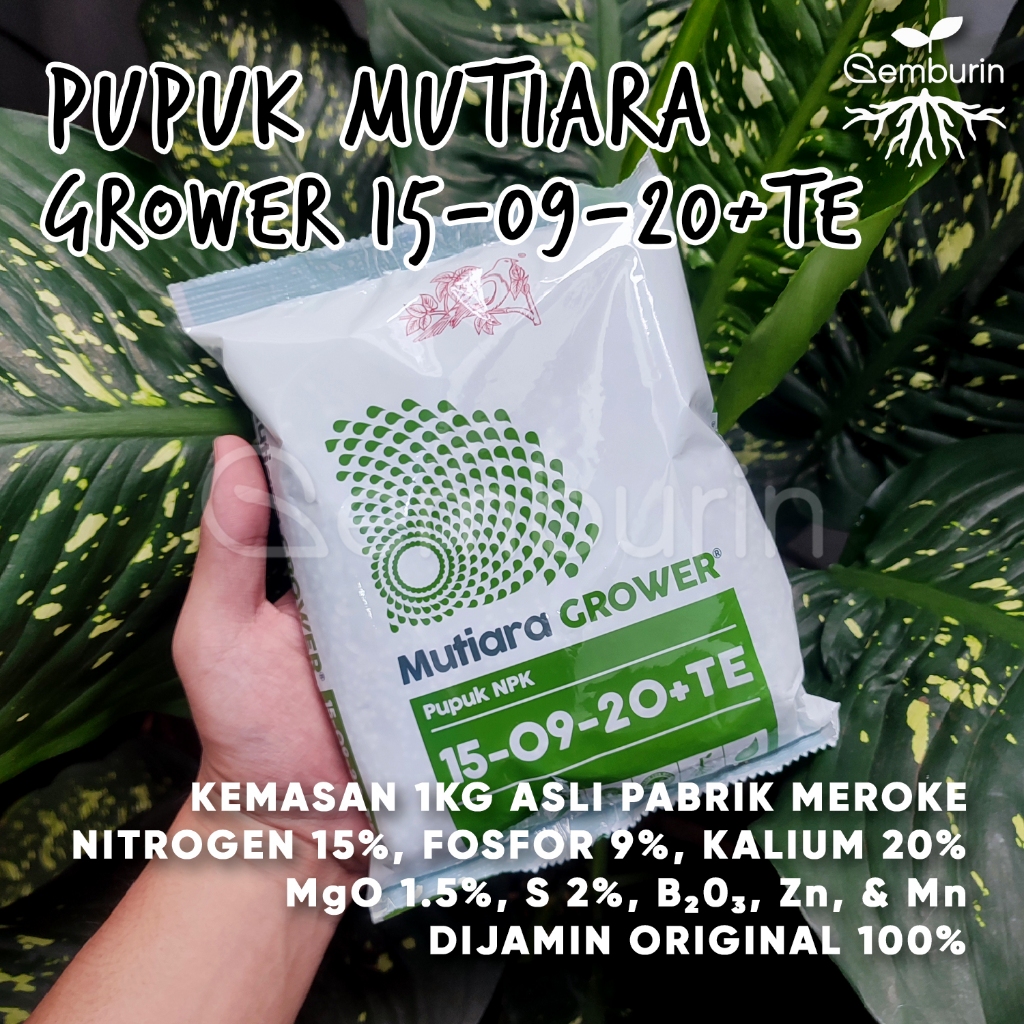 Jual Pupuk NPK Mutiara Grower 15-09-20+TE Hijau 1 kg Kemasan ASLI ...