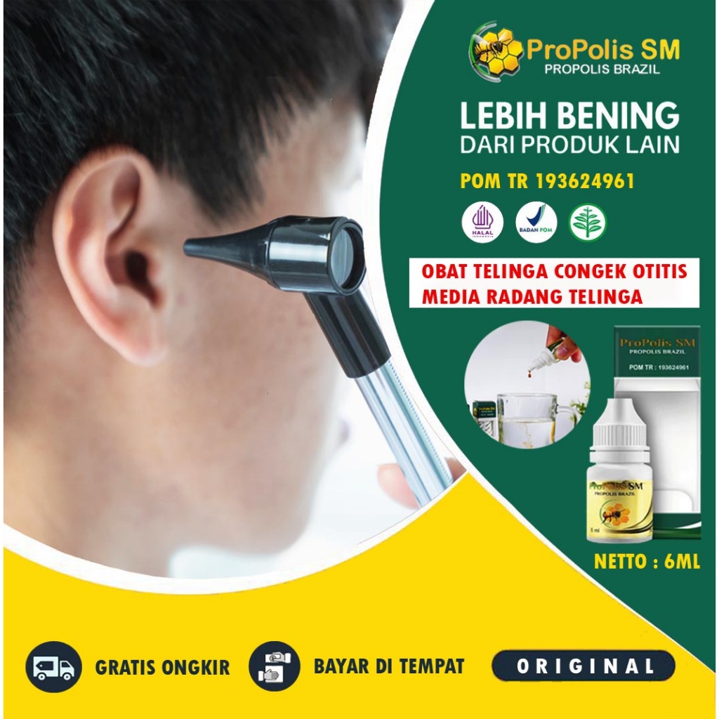 Jual Obat Telinga Congek, Otitis media, Radang Telinga Tengah ...