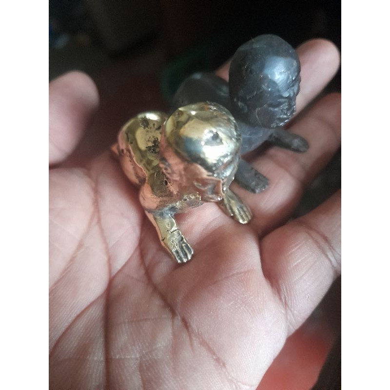 Jual bayi bajang | Shopee Indonesia