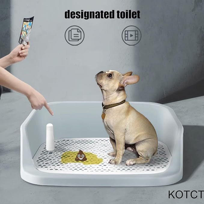 Jual Pet Toilet Anjing Kucing Pad Tray Pup Pee Big Size Dog Potty Train ...