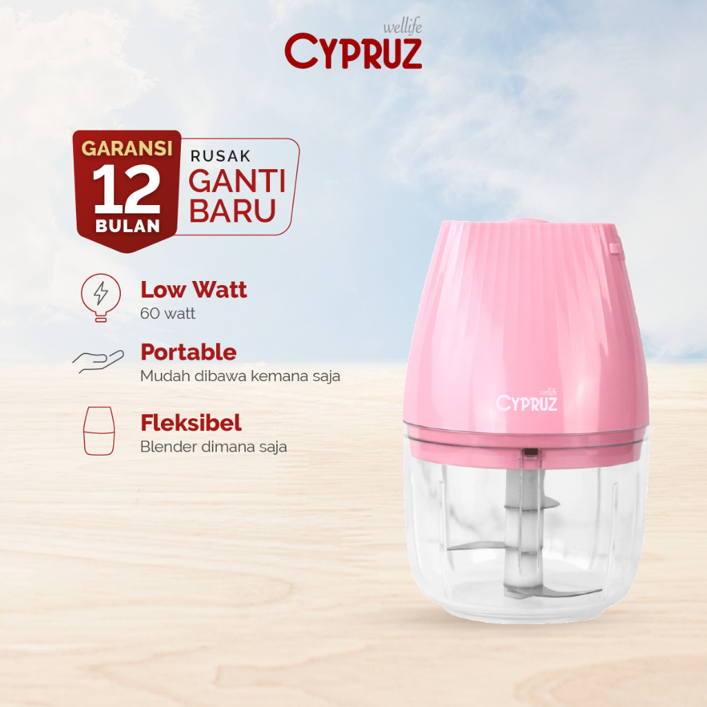 Jual Cypruz Mini Chopper Blender Portable Gilingan Bumbu dan Daging USB ...