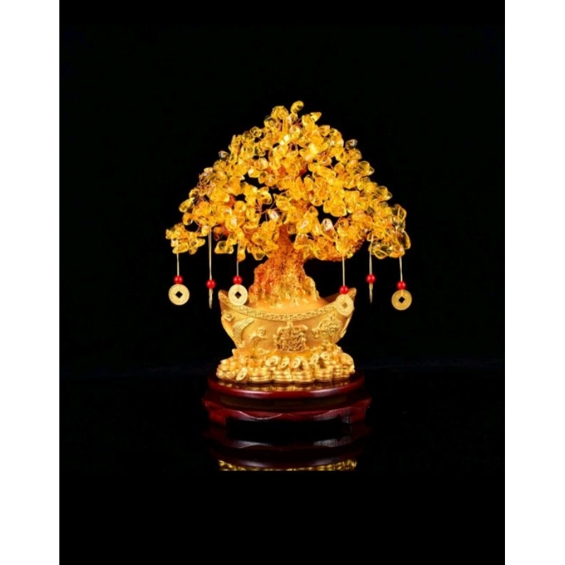 Jual pohon uang / pohon rejeki / pohon hoki / pohon kristal / pohon ...