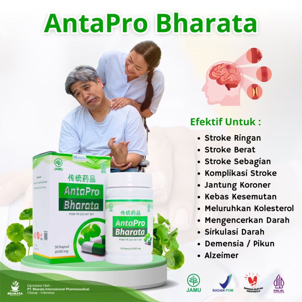Jual ANTAPRO BHARATA ASLI 100% ORIGINAL OBAT STROKE RINGAN STROKE ...